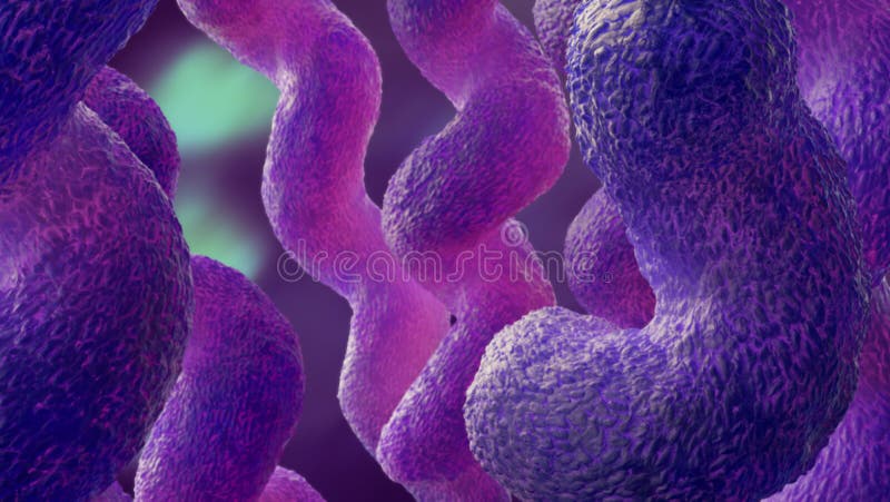 Campylobacter 3d Illustration Stock Illustration - Illustration of ...