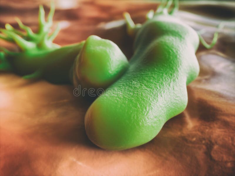 Campylobacter Jejuni Bacteria - Scanning Electron Microscope -closeup ...