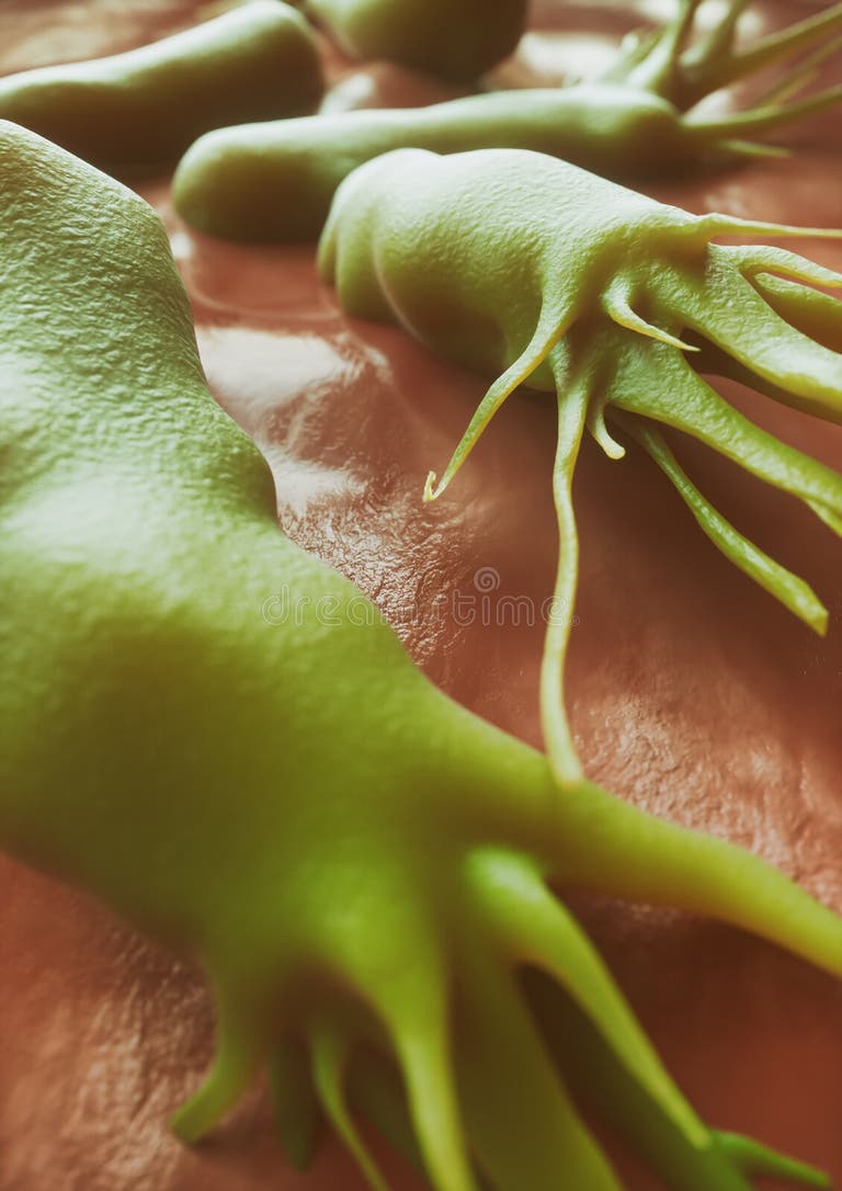 Campylobacter Jejuni Stock Illustrations – 82 Campylobacter Jejuni ...