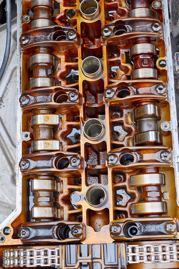 The Camshaft of the Car Engine in Oil Stock Image - Image of gear ...