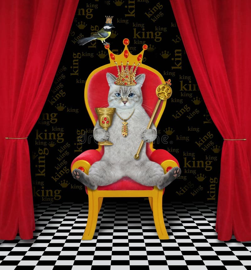 Cat in crown on throne stock image. Image of background - 119870841