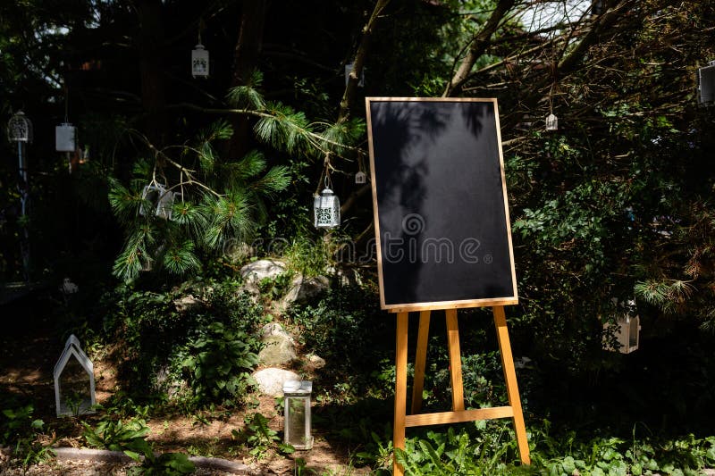 Garden Backdrop with Black Message Board and Lanterns Hanging in Trees ...