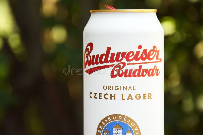 A Can of Budweiser Beer on a Nature Background. Editorial Stock Image ...