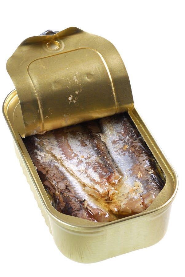 Flat Fillets of Anchovies in Can Stock Photo - Image of fish, macro ...