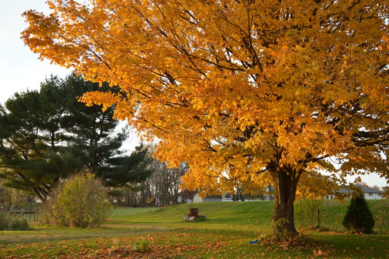 Home Fall Living at Its Best Stock Image - Image of fall, backyard ...
