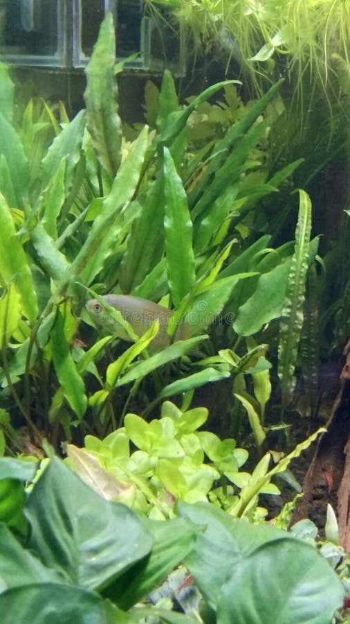 710 Find My You Stock Photos - Free & Royalty-Free Stock Photos from ...