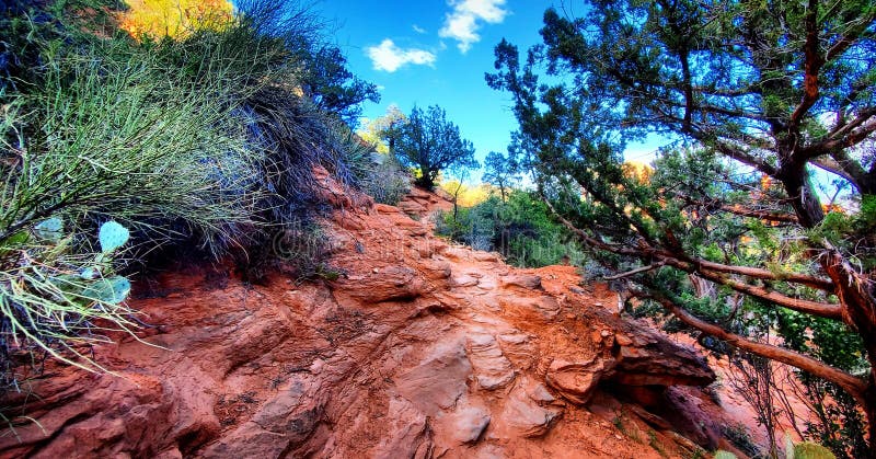 Can You Walk Up this Trail in Sedona? Stock Photo - Image of forest ...