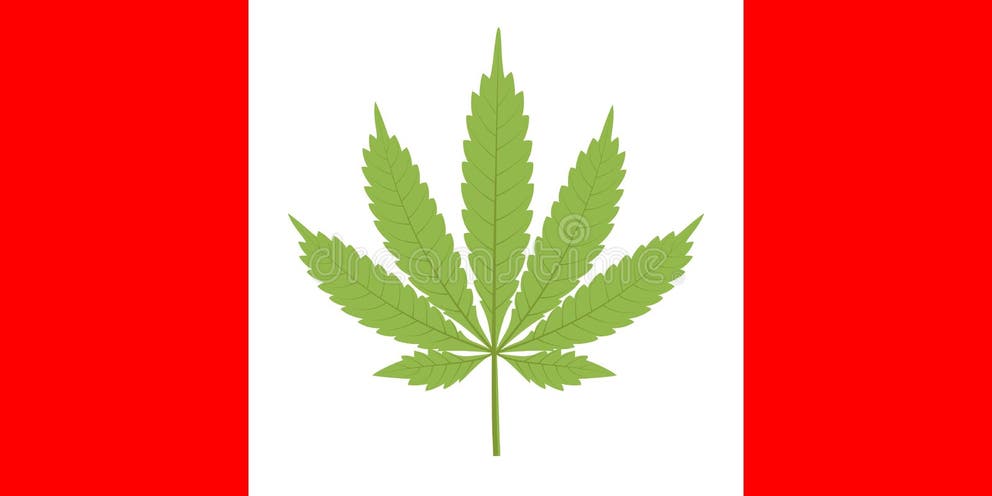 Canada stock vector. Illustration of hash, hashish, marihuana - 129910399