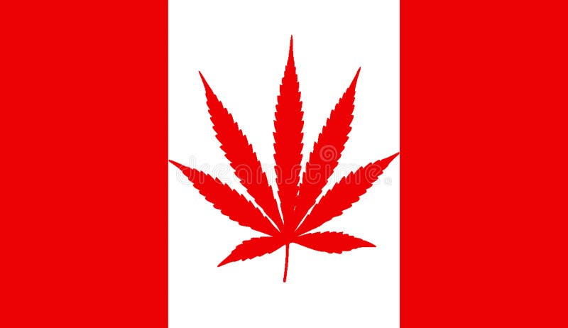Marijuana, Cannabis And Drugs In Canada Stock Vector - Illustration of ...