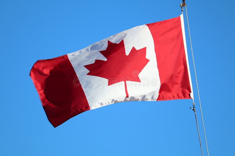 Canada flag. stock photo. Image of surrounded, written - 255247496