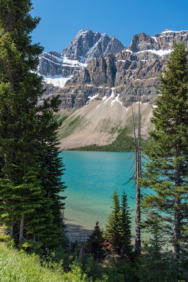 Canada Forest Landscape with Big Mountain in the Background, Alberta ...