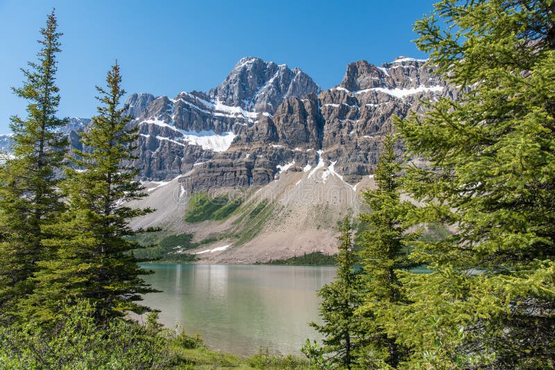 Canada Forest Landscape with Big Mountain in the Background Stock Photo ...