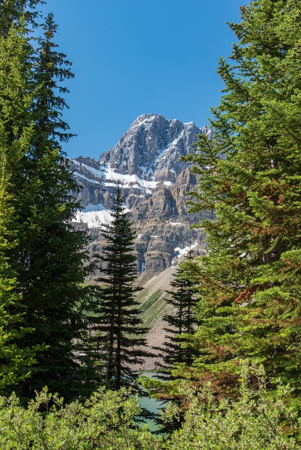 Canada Forest Landscape of Spirit Island with Big Mountain in the ...