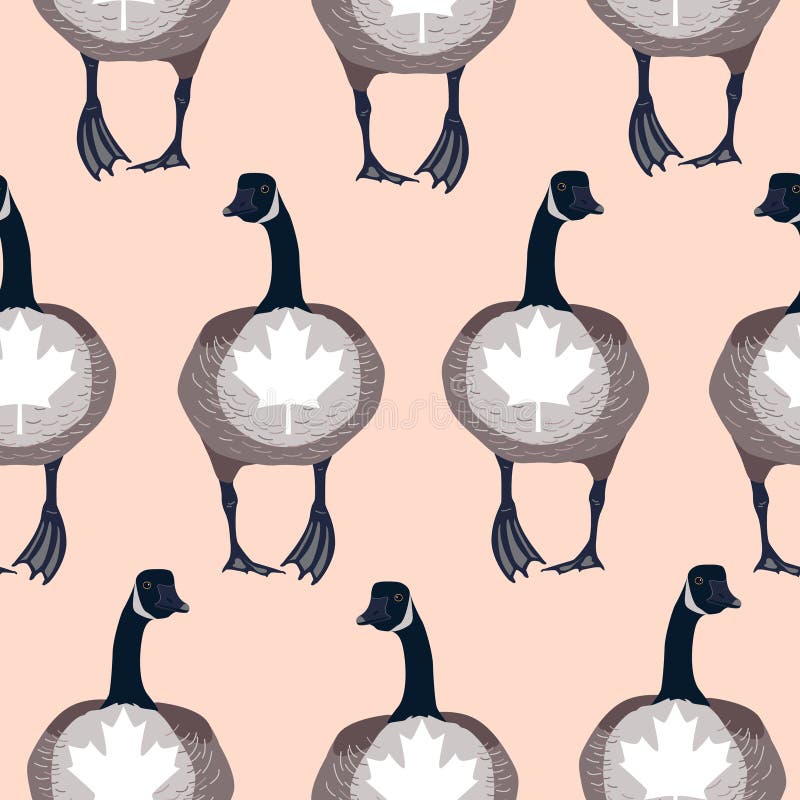 Canada Goose Bird with Canadian Flag Maple Leaf on Its Chest, Seamless ...