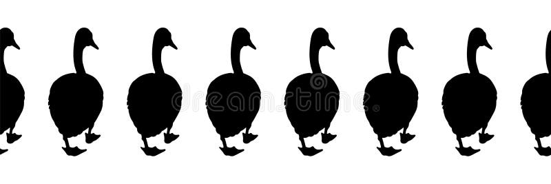 Canada Goose. Seamless Borders. Pattern of Black Silhouettes of Birds ...