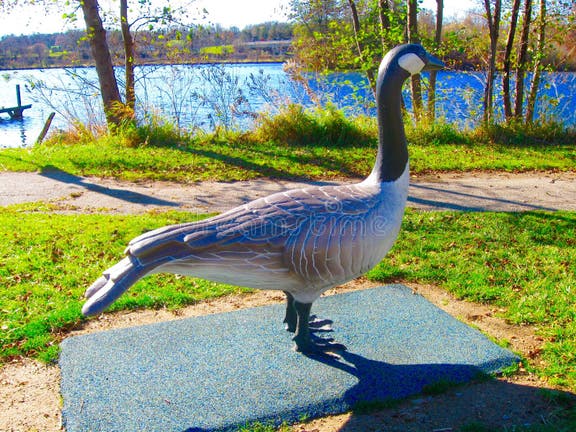 Canada Goose Statue stock photo. Image of rubber, black - 75162238