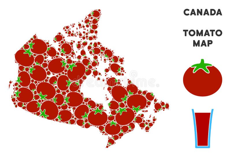 Canada Map Composition of Tomato Stock Vector - Illustration of ...