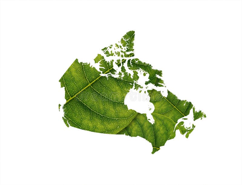 Canada Map Made of Green Leaves on White Background Stock Image - Image ...