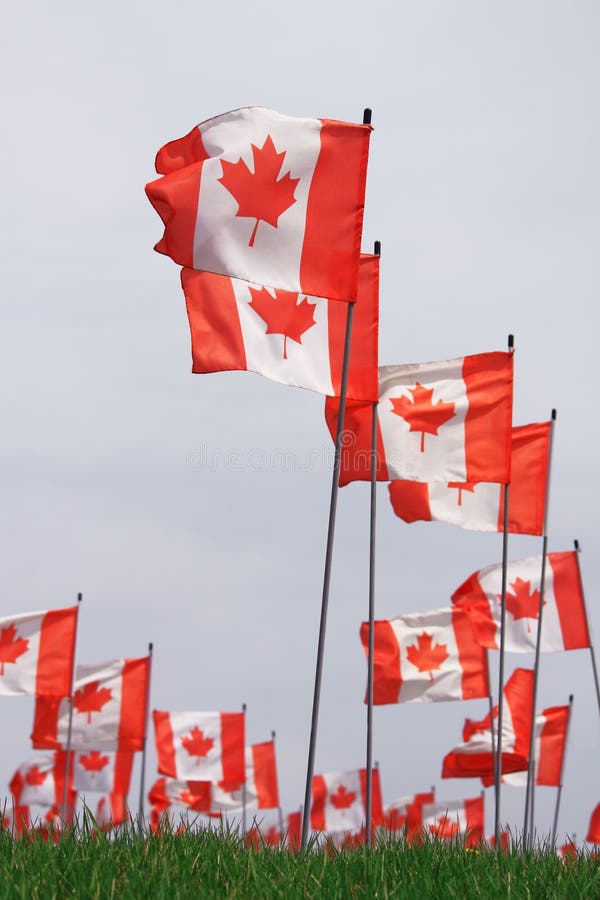 Canada Maple Leaf Flag stock photo. Image of patriot - 14016798