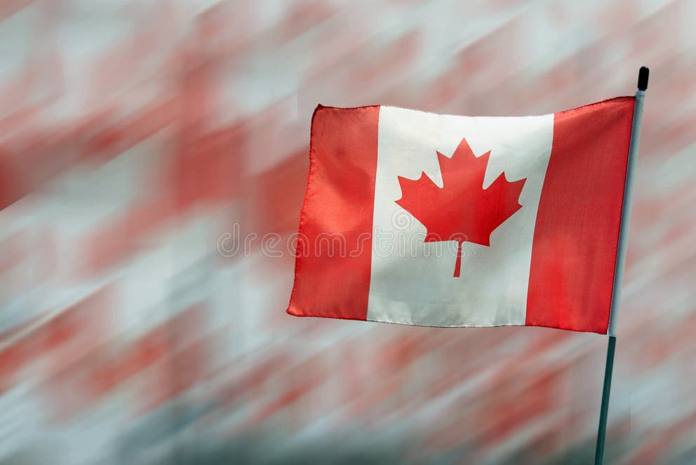 Canada Maple Leaf Flag stock photo. Image of patriot - 14016812