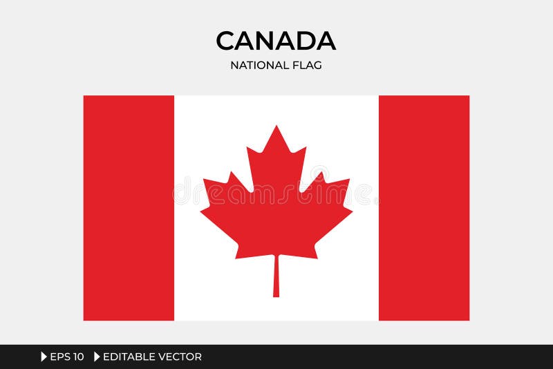 Canada National Flag Illustration Stock Vector - Illustration of ...