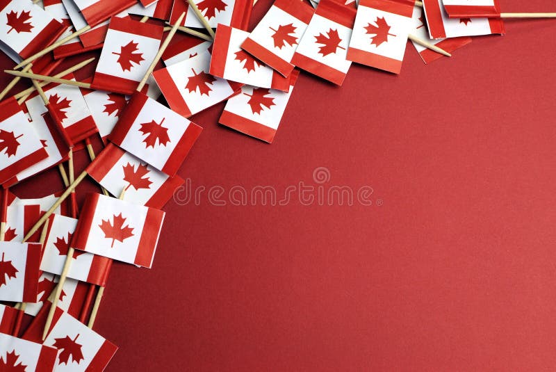 Canada Red and White Maple Leaf National Toothpick Flags with Copy ...