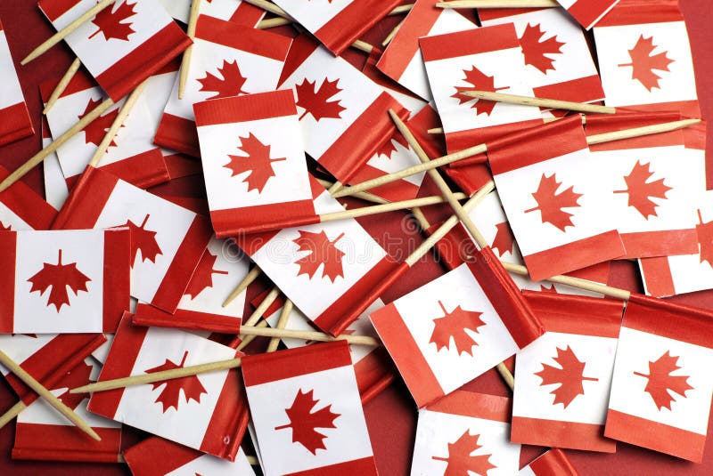 Canada Red And White Maple Leaf National Toothpick Flags - Horizontal ...