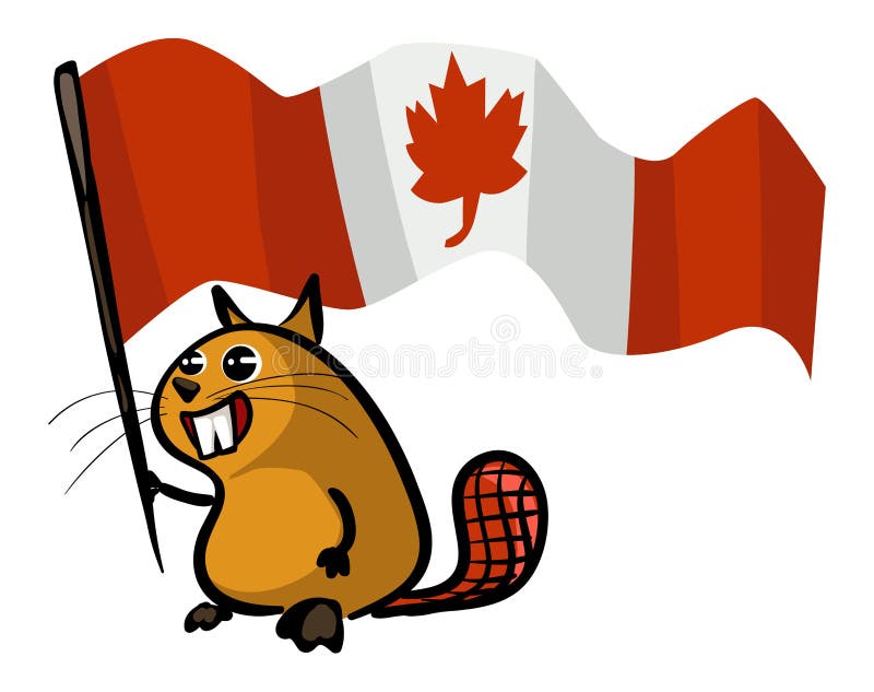 The Canadian Beaver Holding Canada Flag Stock Vector - Illustration of ...