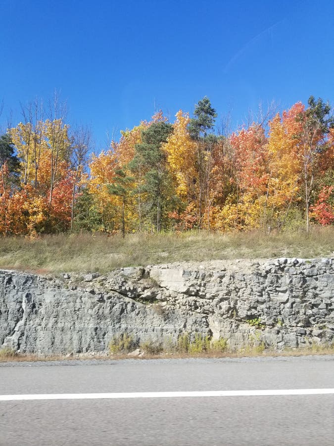 Canadian Colors Fall stock photo. Image of fall, beauty - 161541602