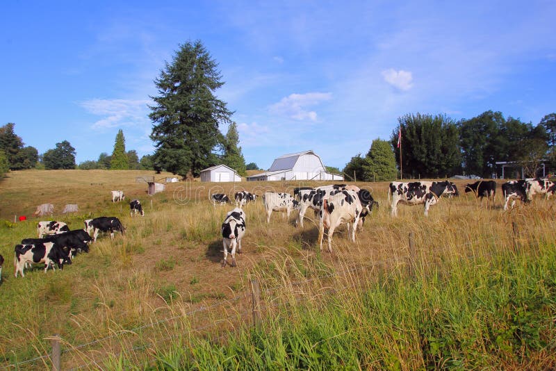 Canadian Barn and Silo stock image. Image of mainland - 27236387