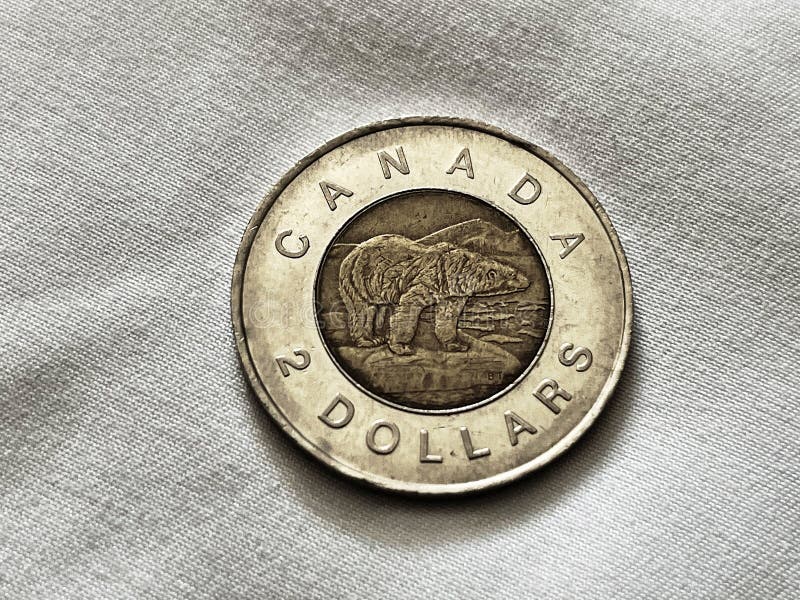 Canadian dollar coin stock photo. Image of circular - 350188784