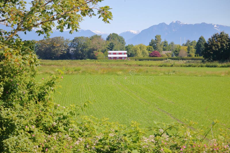 Canadian Farm on the West Coast Stock Image - Image of rich, summer ...