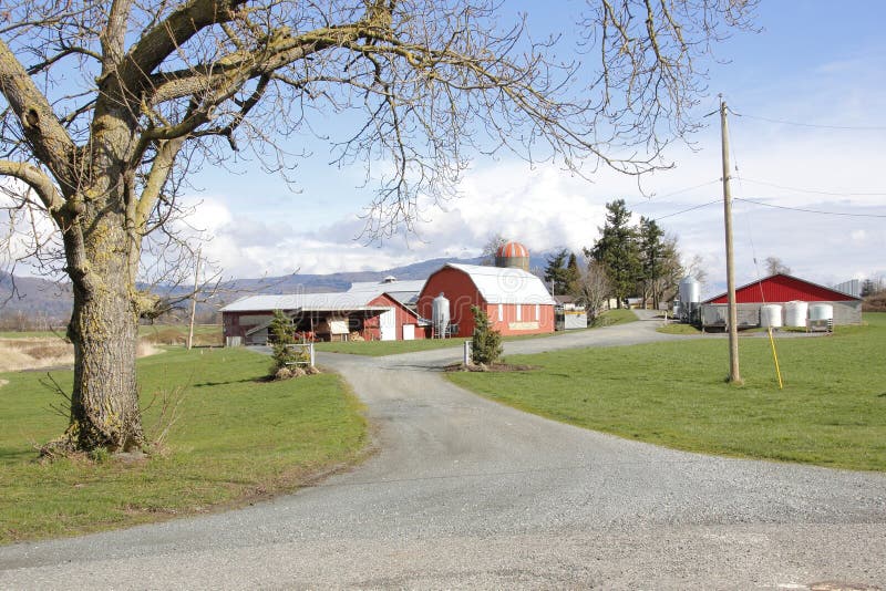 Canadian Farm Yard stock image. Image of farm, springtime - 39174183
