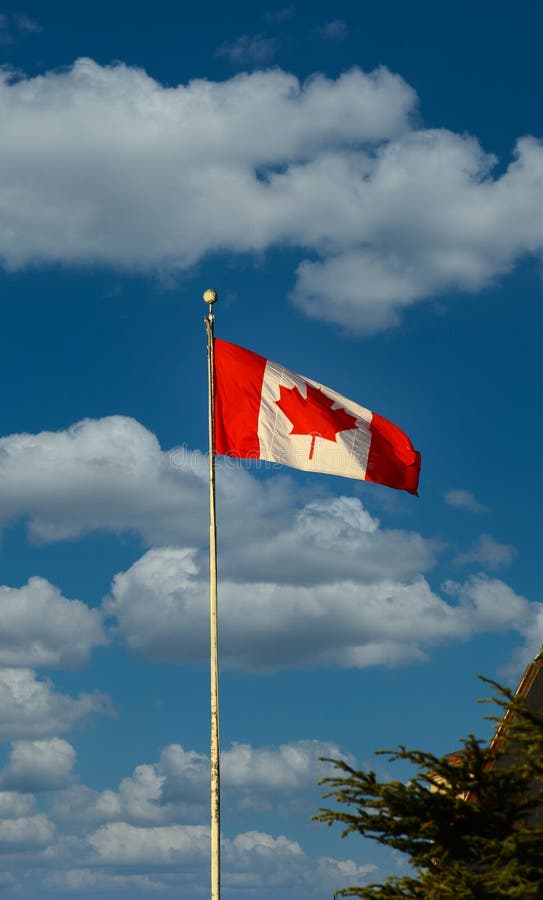 Canadian Flag on Blue Sky stock image. Image of leaf - 174194583
