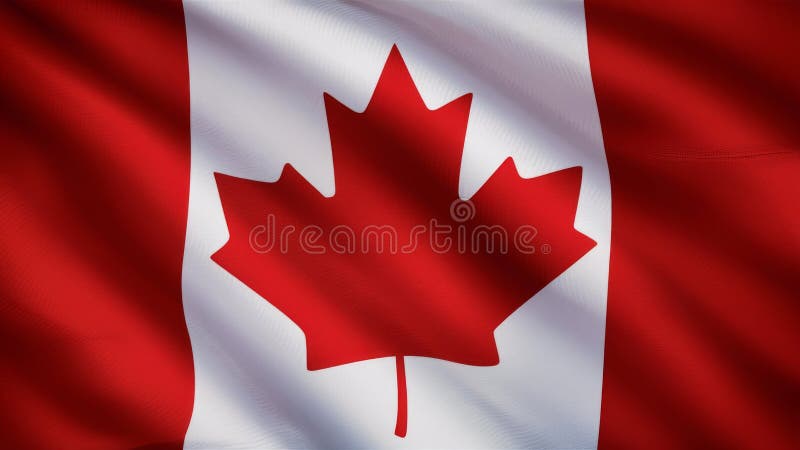 Canadian Flag Close-Up with Waving Texture Stock Illustration ...