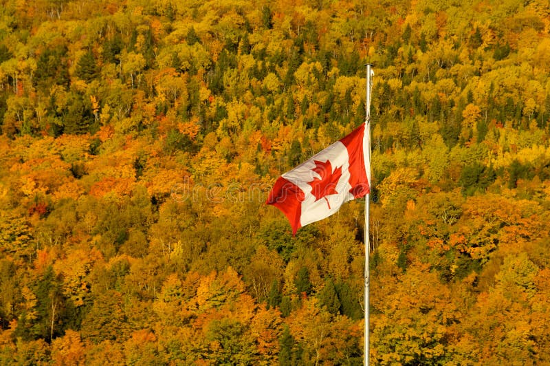 Flags of Quebec and Canada stock photo. Image of canucks - 63362942
