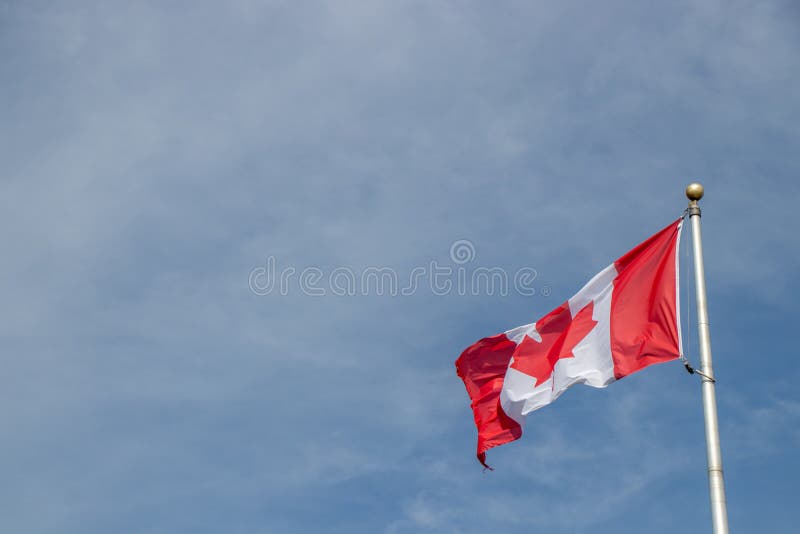 Canadian Flag Flying in the Wind Stock Photo - Image of flag, leaf ...