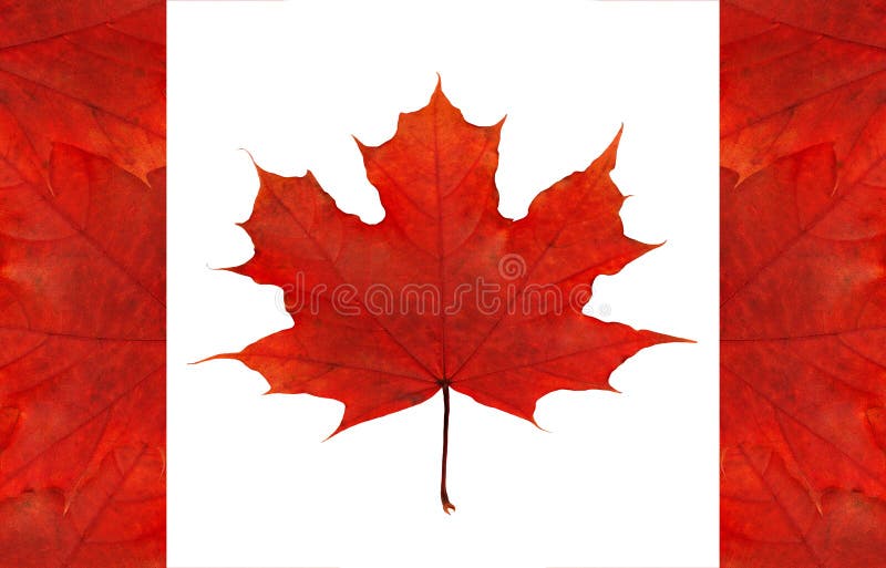 Canadian Flag with Red Maple Leaf Isolated Stock Photo - Image of ...
