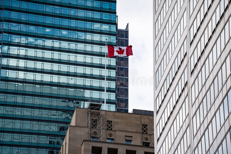 Canadian Flag among Skyscrapers in Downtown Toronto Stock Photo - Image ...