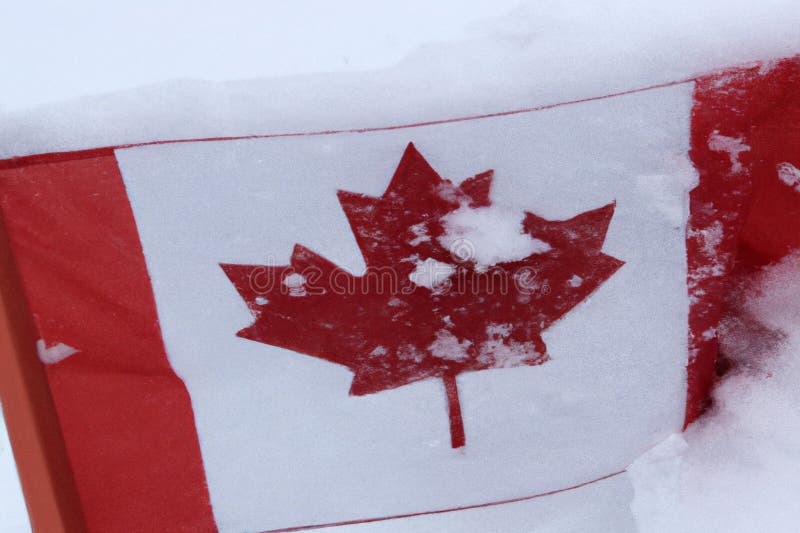 Canadian Flag in Snow stock illustration. Illustration of leaf - 310760461