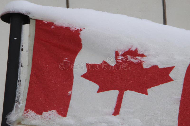 Canadian Flag in Snow stock illustration. Illustration of pole - 312162919