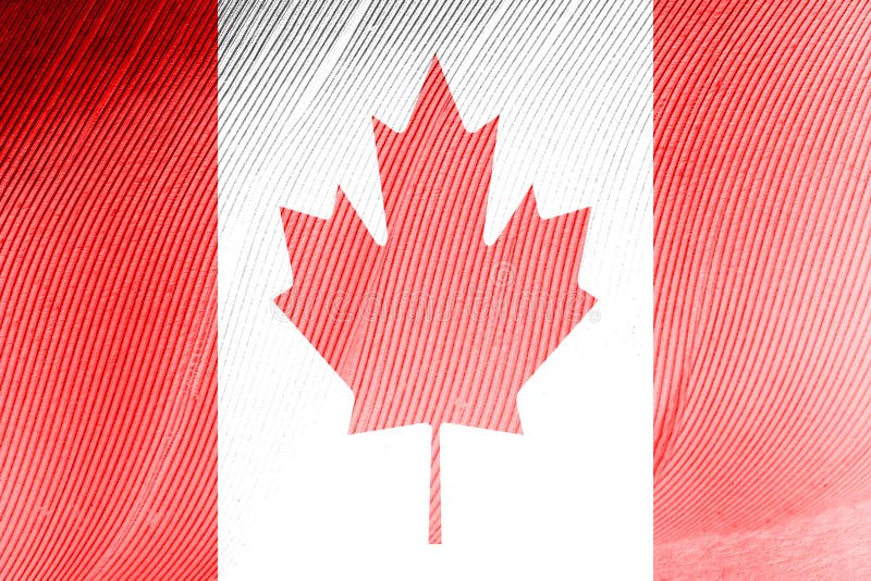 Canadian Flag with Texture. Template for Design Stock Image - Image of ...