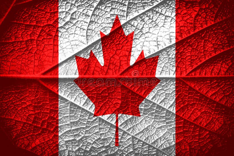 Canadian Flag with Texture. Template for Design Stock Illustration ...