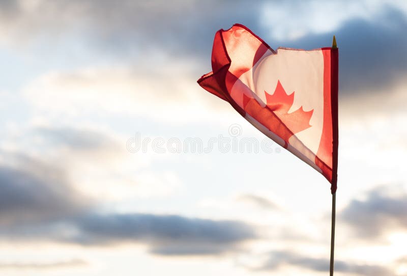 Canadian flag waving stock image. Image of patriotism - 122388013