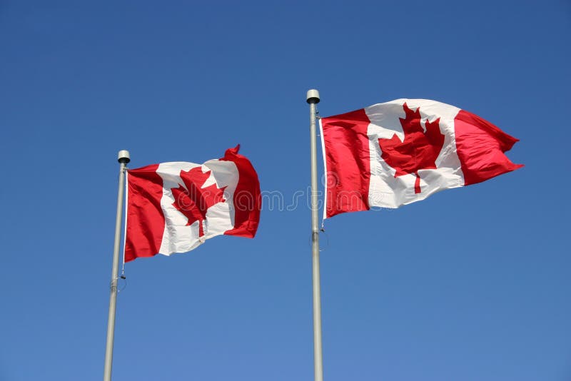 American and Texas Flags stock image. Image of texan, american - 503873
