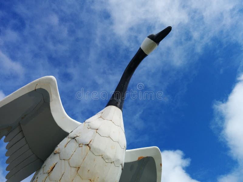 Canadian Goose Statue stock photo. Image of canada, wings - 173947160