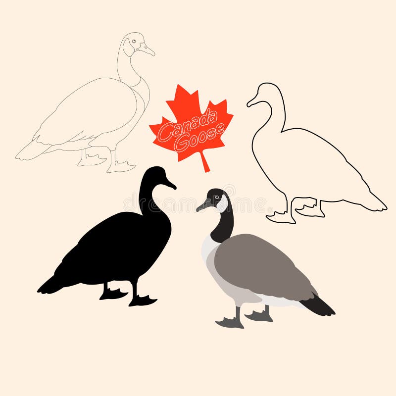 Canadian Goose Vector Illustration Style Flat Black Silhouette Stock ...
