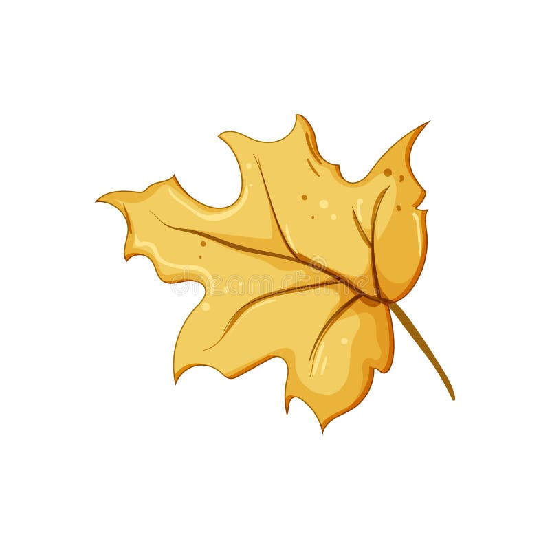 Canadian Maple Leaf Cartoon Vector Illustration Stock Illustration