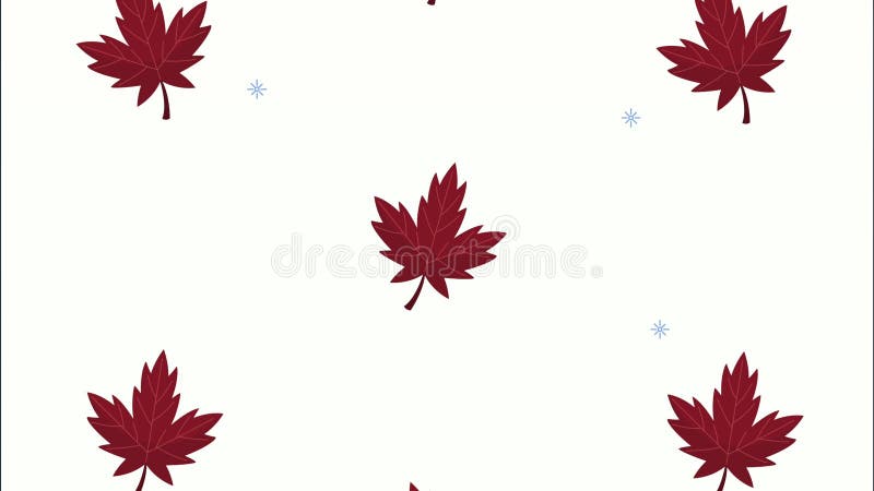 Canadian Maple Leafs Pattern Animation Stock Video - Video of holiday ...