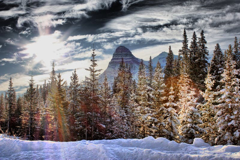 Canadian Mountain in Front of a Forest of Trees Stock Photo - Image of ...